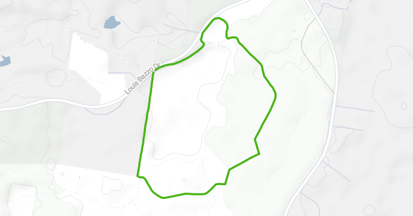Ringtail State Forest Loop Track Mountain Biking Trail - Cootharaba