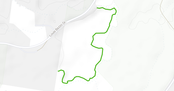 Ringtail State Forest Track Mountain Biking Trail - Cootharaba