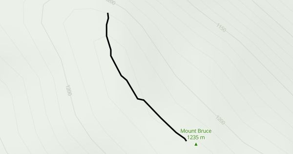 Mount Bruce Ridge Trail Hiking Trail - | Trailforks