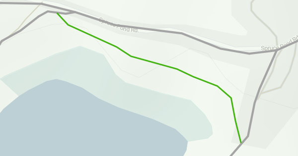 Camp Site Skip Multi Trail - Allenstown, New Hampshire