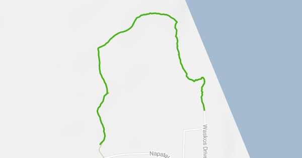 Sasktel/Fire Guard/Beach Trail Hiking Trail - La Ronge, SK