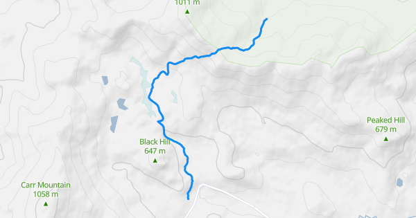 Mt Kineo Trail Hiking Trail - Ellsworth, NH | Trailforks