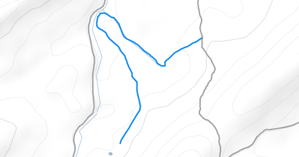 Fern Ridge Trail Multi Trail - State College, PA