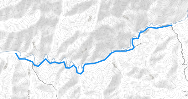Howqua Feeder Walking Track Hiking Trail - Mount Hotham