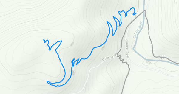 Cash Out Mountain Biking Trail - Collie | Trailforks