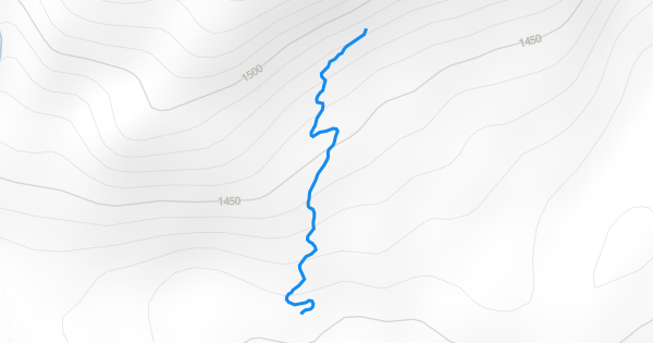 Maskwa Mountain Biking Trail - Nordegg, Alberta