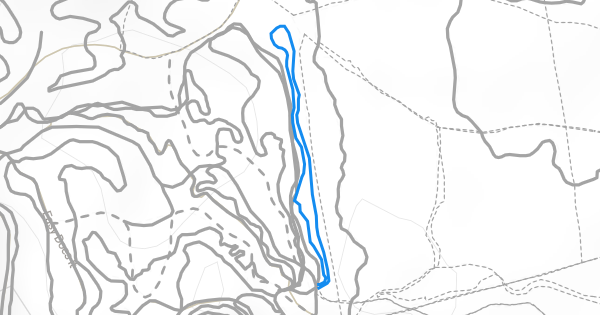 Happier Trail Mountain Biking Trail - Mulmur, Ontario