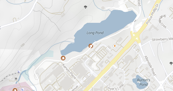 Long Pond Path Multi Trail - St. John's, Newfoundland