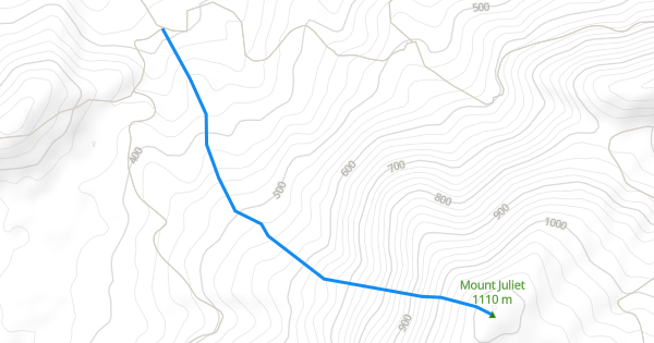 Mount Juliet Walking Track Hiking Trail - Warburton