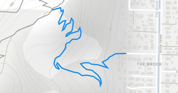 Hinau Track Hiking Trail - | Trailforks