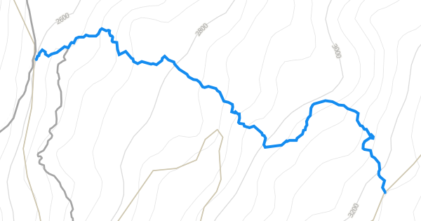 Tam O Tiger Mountain Biking Trail - Riondel, BC