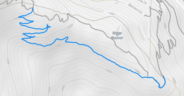Gnarnia Mountain Biking Trail - Sandpoint, Idaho