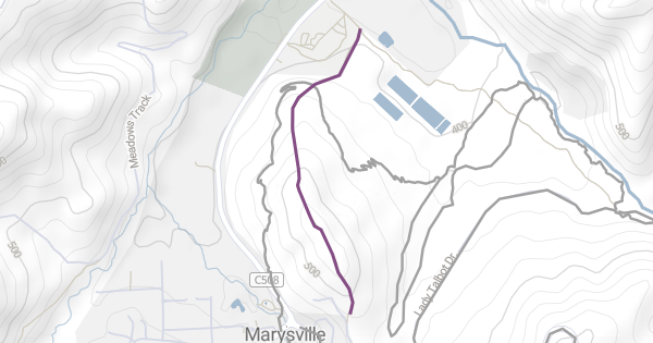 Red Hill Track Multi Trail - Shire of Murrindindi