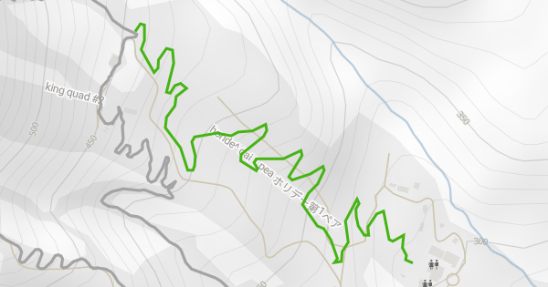 Kaikan Mountain Biking Trail - Niseko | Trailforks