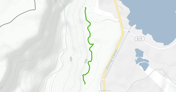 East Rim Track Mountain Biking Trail - Nowra