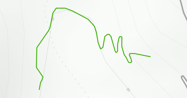 Casuarina Explorer Short Loop Mountain Biking Trail - Gold Coast