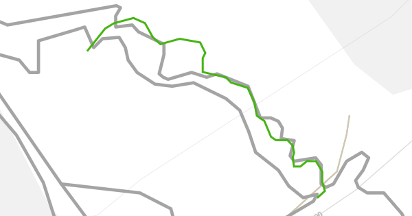 Learn Ya Turns Mountain Biking Trail - Maydena