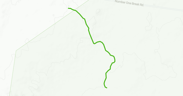 Southeaset Trail Mountain Biking Trail - Baradine