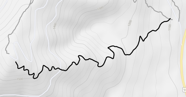 Meatball Mountain Biking Trail - Polson, MT | Trailforks