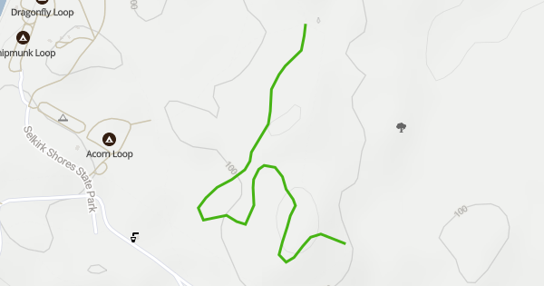 Blue Forest Trail Multi Trail - Pulaski, New York