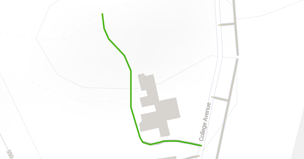 Upper Dorms Path Multi Trail - Angwin, California