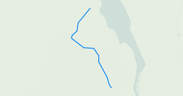 Palmiet River Walk Hiking Trail - | Trailforks