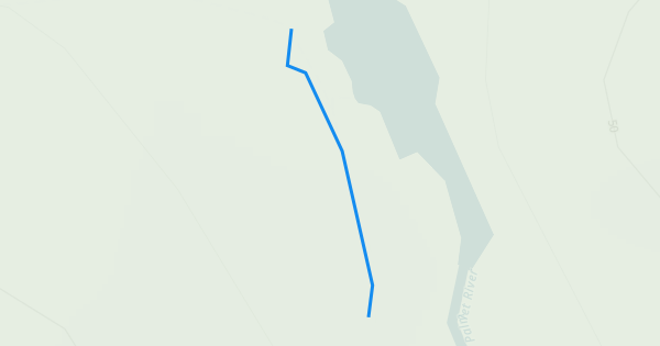 Palmiet River Walk Hiking Trail - | Trailforks