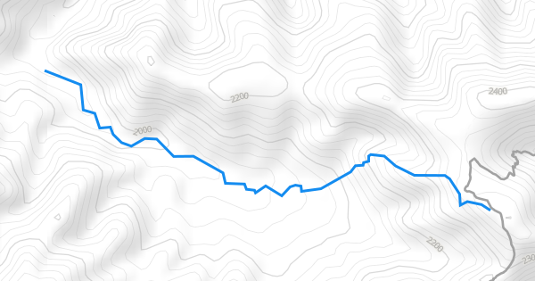 Bosque Encantado Multi Trail - | Trailforks