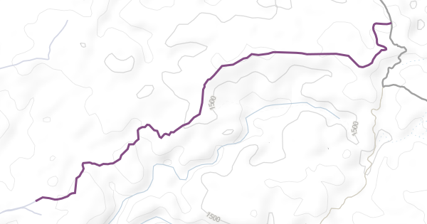 Tala Multi Trail - Zapopan | Trailforks