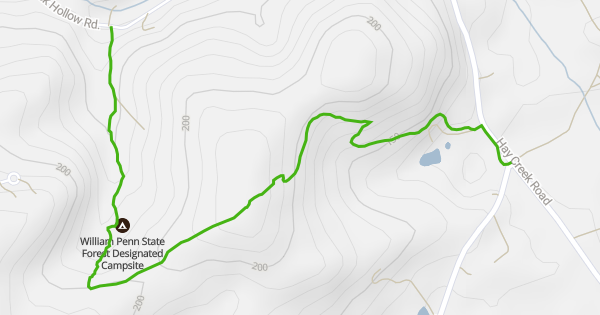 Horse-Shoe Trail (William Penn State Forest) Hiking Trail - Birdsboro, PA