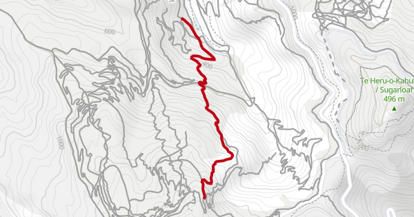 The GC Mountain Biking Trail - Christchurch | Trailforks