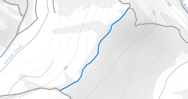 Cheese Rock Mountain Biking Trail - Cle Elum, Washington