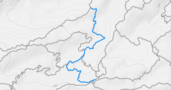 Chin Chin Mountain Biking Trail - | Trailforks