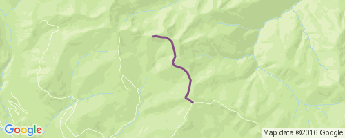 NFD Road 112 Mountain Biking Trail - Plain, Washington