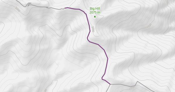 NFD Road 112 Mountain Biking Trail - Plain, Washington