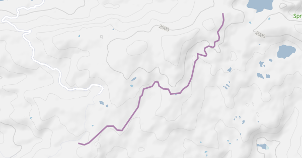 T Line Mountain Biking Trail - Chico, California