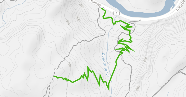 Duncan's Multi-Directional Trail Mountain Biking Trail - Corner Brook
