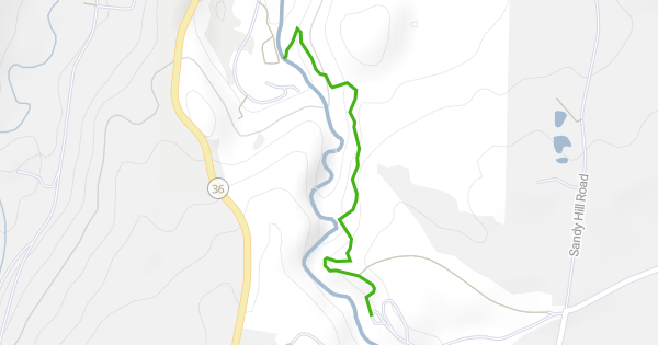East Rim Trail Hiking Trail - Ossian, New York