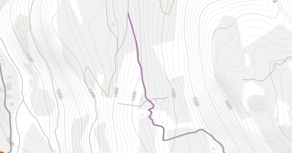 Access Road Multi Trail - Arosa Lenzerheide | Trailforks