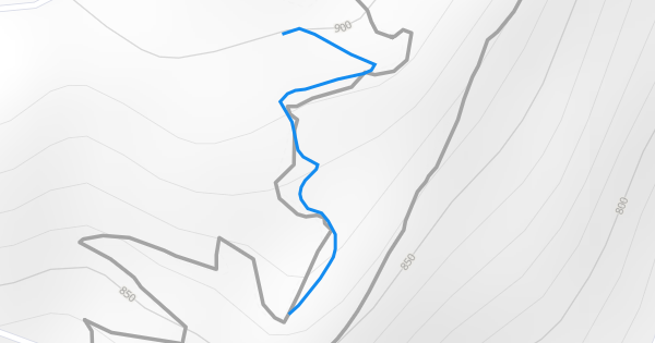 Padawan - FRH Section Mountain Biking Trail - Houston, BC