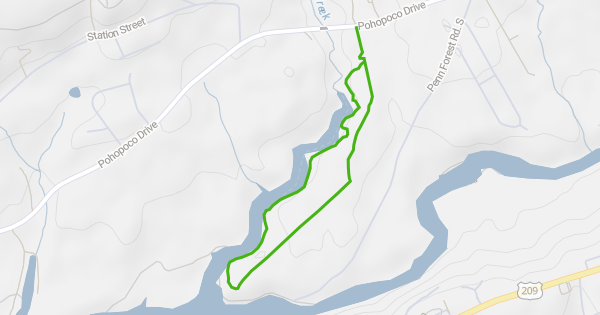 Cove Ridge Trail Hiking Trail - Lehighton, Pennsylvania