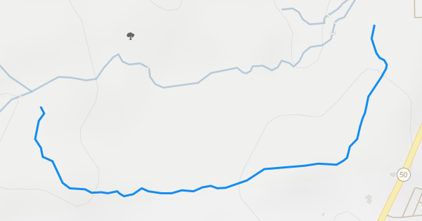 Old-field Trail Hiking Trail - Ballston Spa, New York