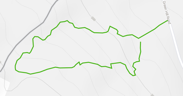 Green Hill Loop Trail Hiking Trail - Conway, NH