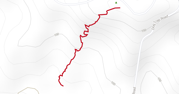 M16 Mountain Biking Trail - Mogo Trails, Mogo