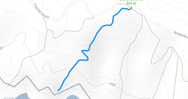 Admiral Mountain Biking Trail - Creswick | Trailforks