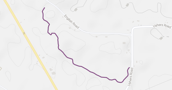 Ushers Road State Forest Hiking Trail - Clifton Park, NY