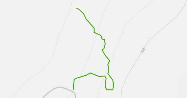 Wildflower & Amphitheater Mountain Biking Trail - Deansboro