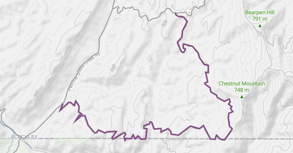 Big Frog Loop Road Multi Trail - Ducktown, Tennessee