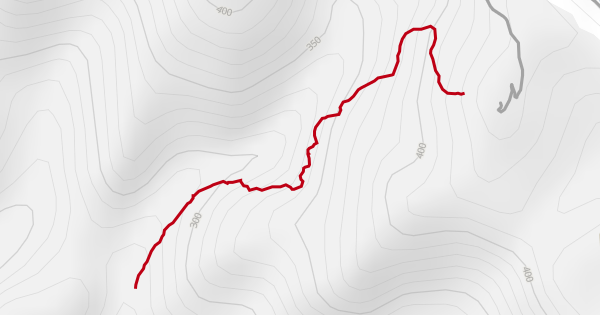 Zane Mountain Biking Trail - Napa, California