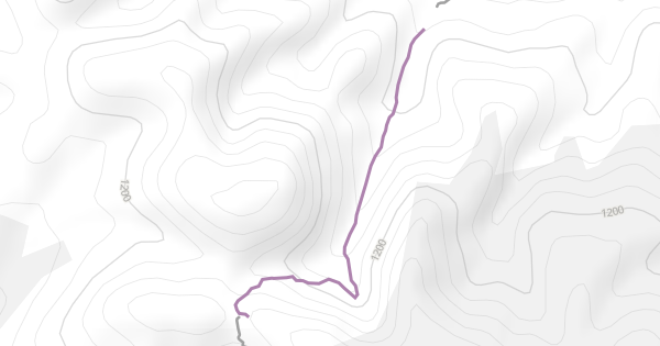 La Modorra Multi Trail - Olvega, Agreda | Trailforks
